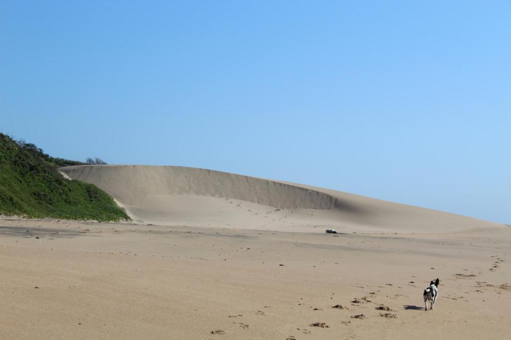 Apartment The Little Round House Scottburgh, Durban South Coast ...