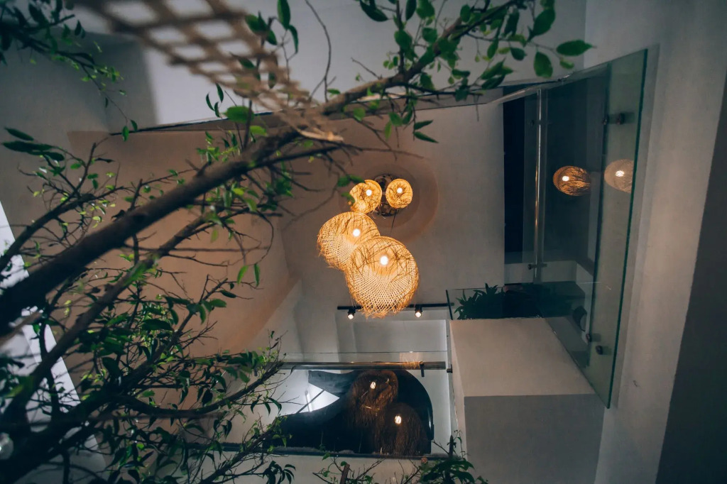 Albergue Rozhok Homestay Saigon - Hostel Municipalidad de Ho Chi Minh ...