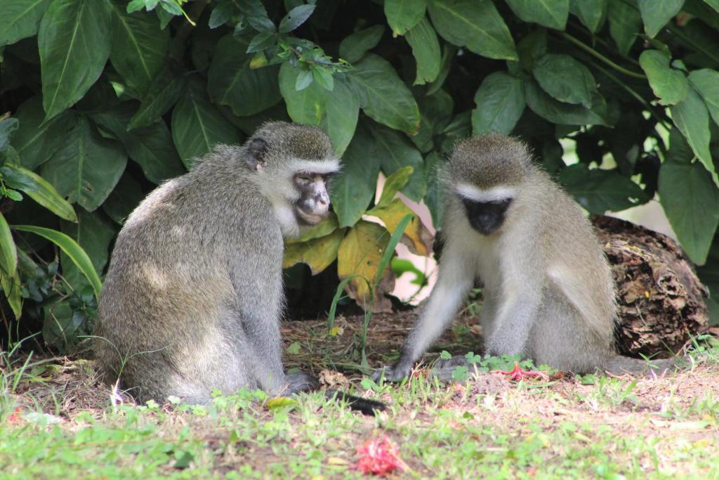 Apartment The Little Round House Scottburgh, Durban South Coast ...